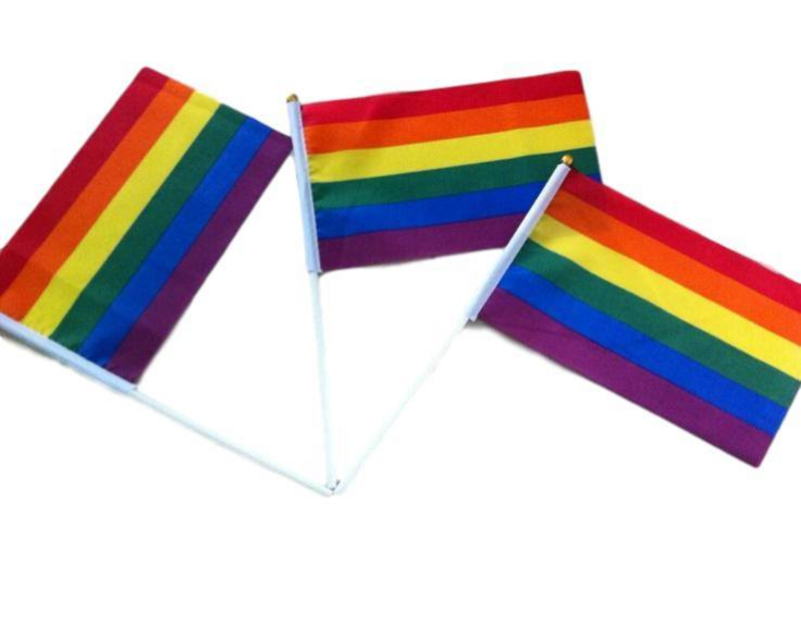 Pride hand Flags - PRIDE-SHOP LGBTQIA